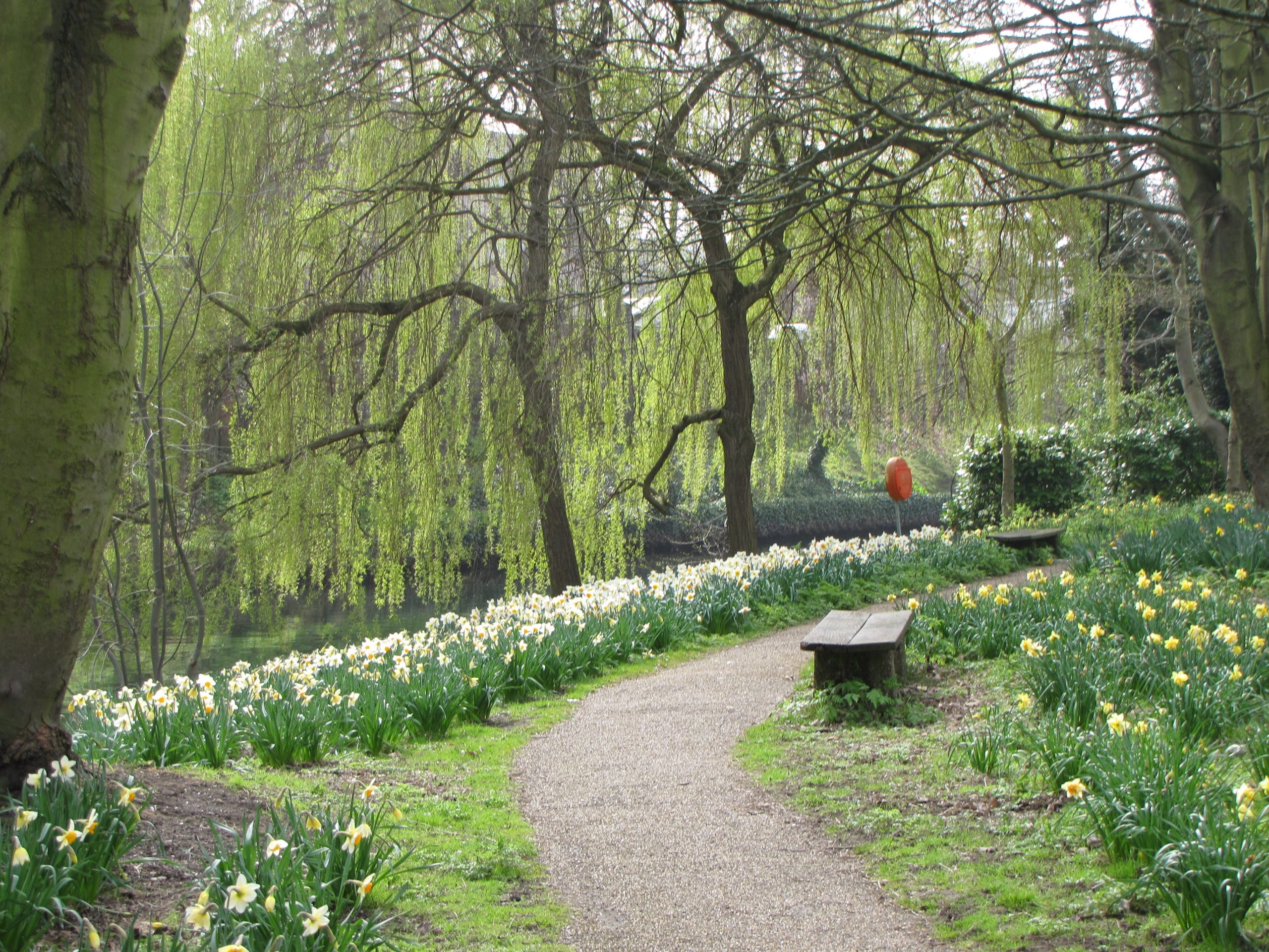 Things to Do in Norwich this Spring - Norwich Study Centre